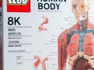 A Lego lançou um conjunto de anatomia humana para estudantes de Medicina?